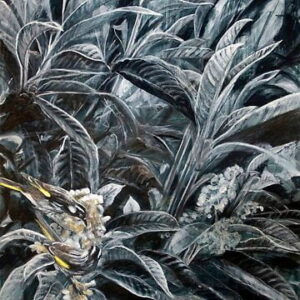 Black and white images for sale Australian Artist - Avril Thomas
