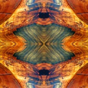 Abstract Art by Avril Thomas for Sale - Avril Thomas